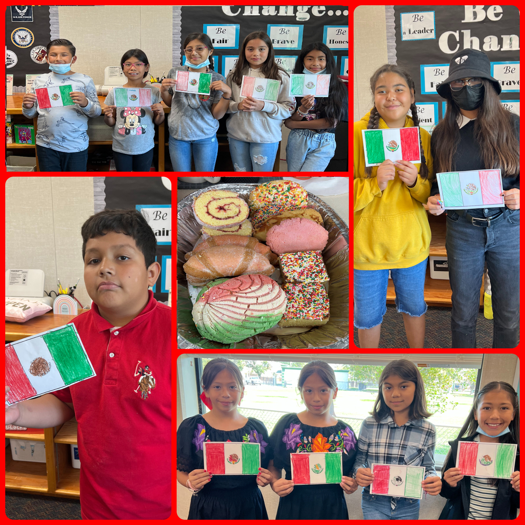 Live Feed | Mercey Springs Elementary