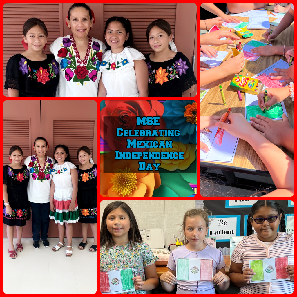 Live Feed | Mercey Springs Elementary