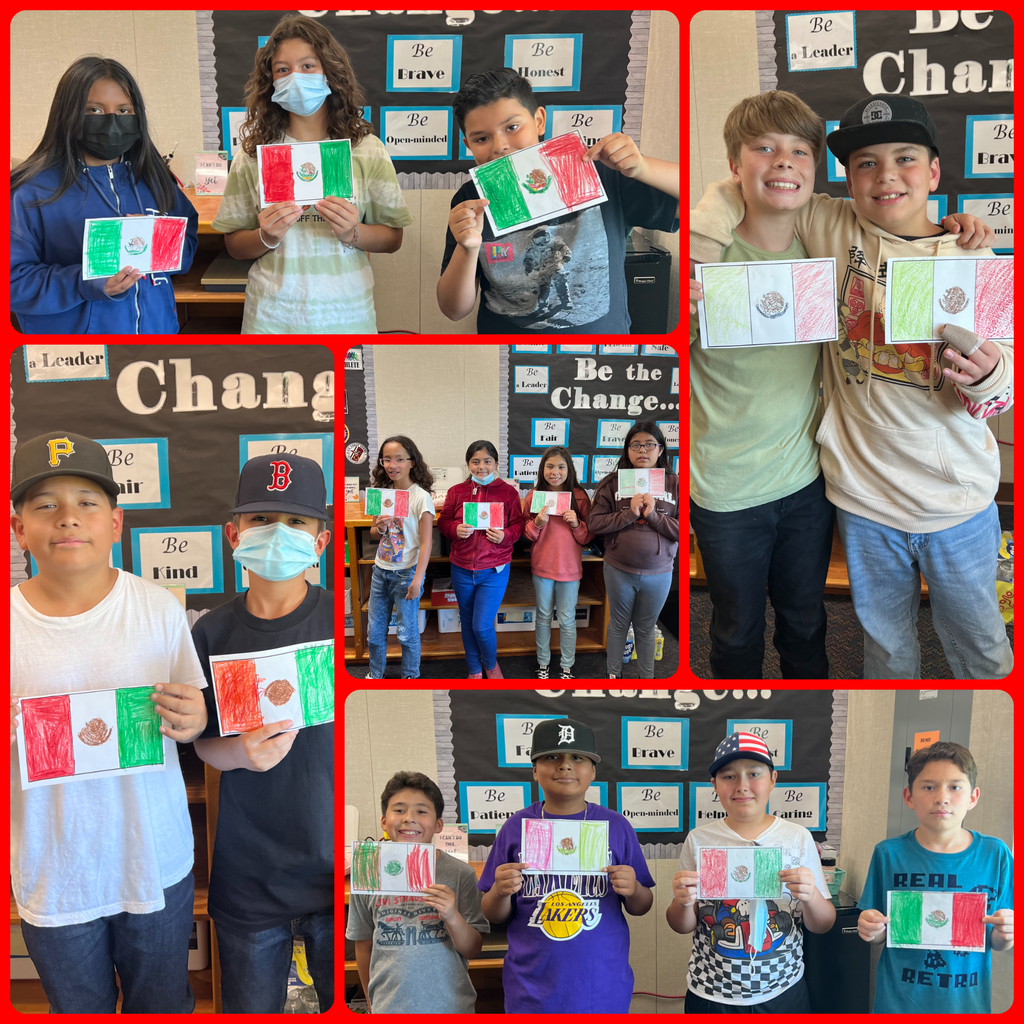 Live Feed | Mercey Springs Elementary