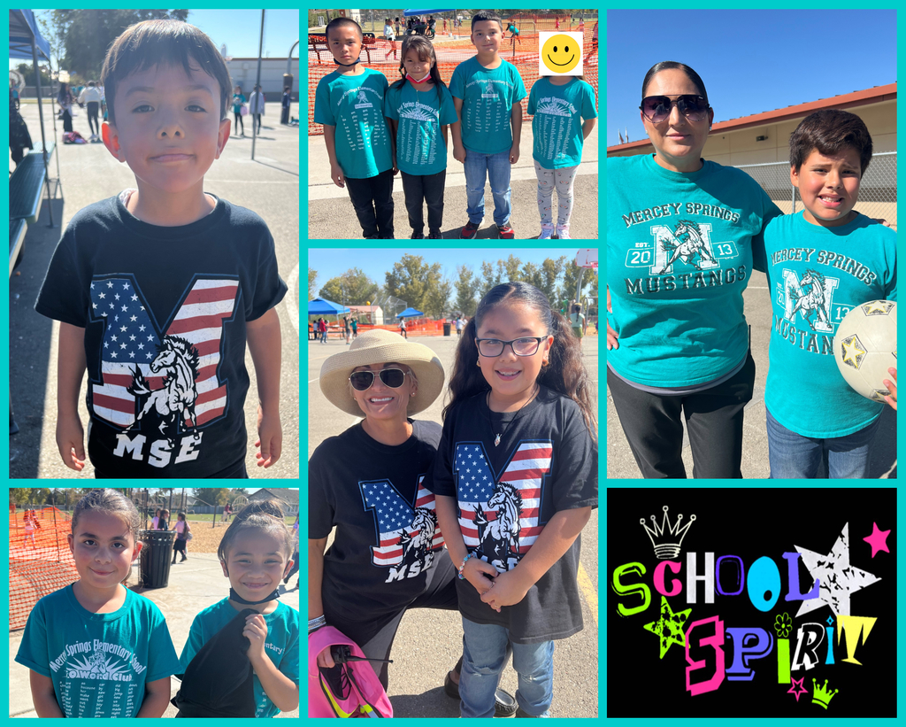 Live Feed | Mercey Springs Elementary